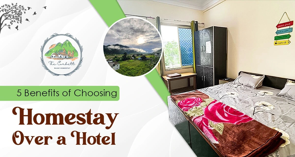 5 Benefits of Choosing a Homestay Over a Hotel-Budget Homestay